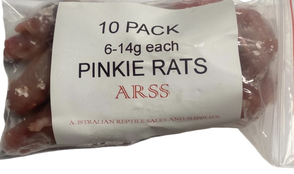 10 PACK PINKIE RATS-PICKUP ONLY – Australian Reptile Sales and Supplies