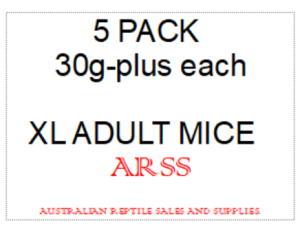Mice – Australian Reptile Sales and Supplies