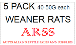 5 PACK WEANER RATS-PICKUP ONLY – Australian Reptile Sales and Supplies