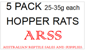 5 PACK HOPPER RATS-PICKUP ONLY – Australian Reptile Sales and Supplies