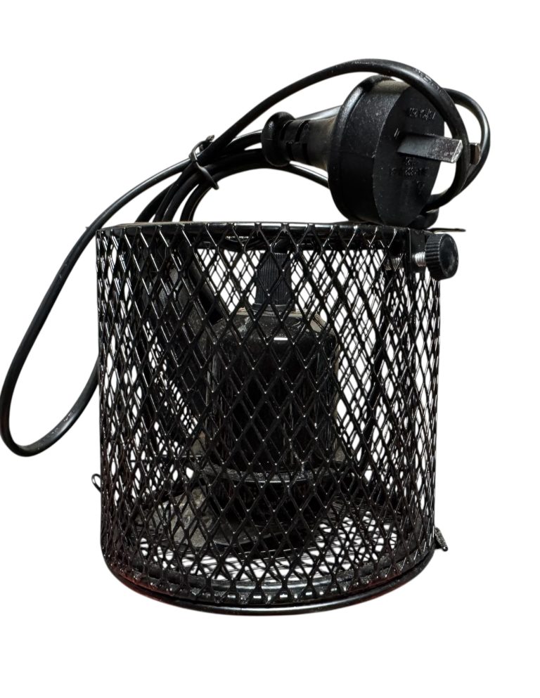 LIGHT CAGE WITH CERAMIC LIGHT FITTING – Australian Reptile Sales and ...